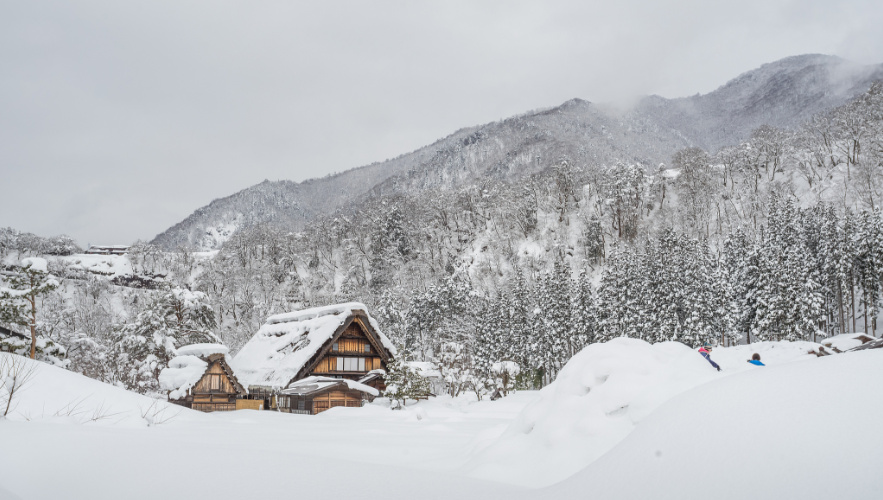 Snow, Festivals, and Cherry Blossoms: The Best Times to Visit Aomori ...