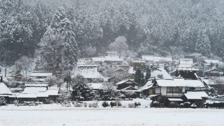 Snow, Festivals, and Cherry Blossoms: The Best Times to Visit Aomori ...