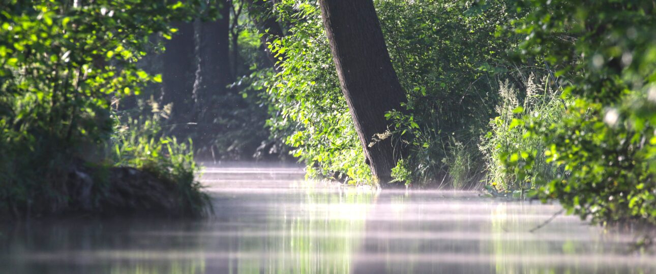Slow Travel in Fukui: Hot Springs, Countryside, and the Art of Taking ...
