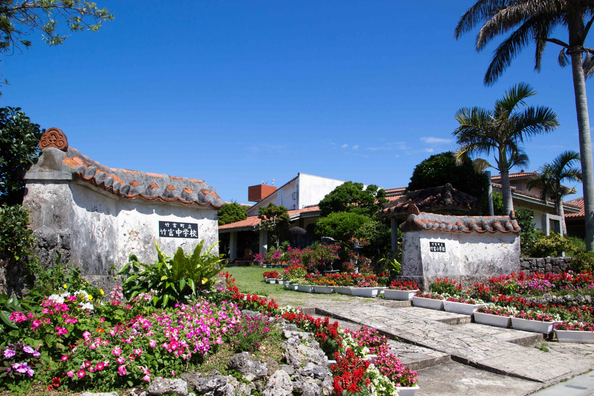 How to Plan a Trip to Okinawa: Beaches, Culture & Island Life Guide